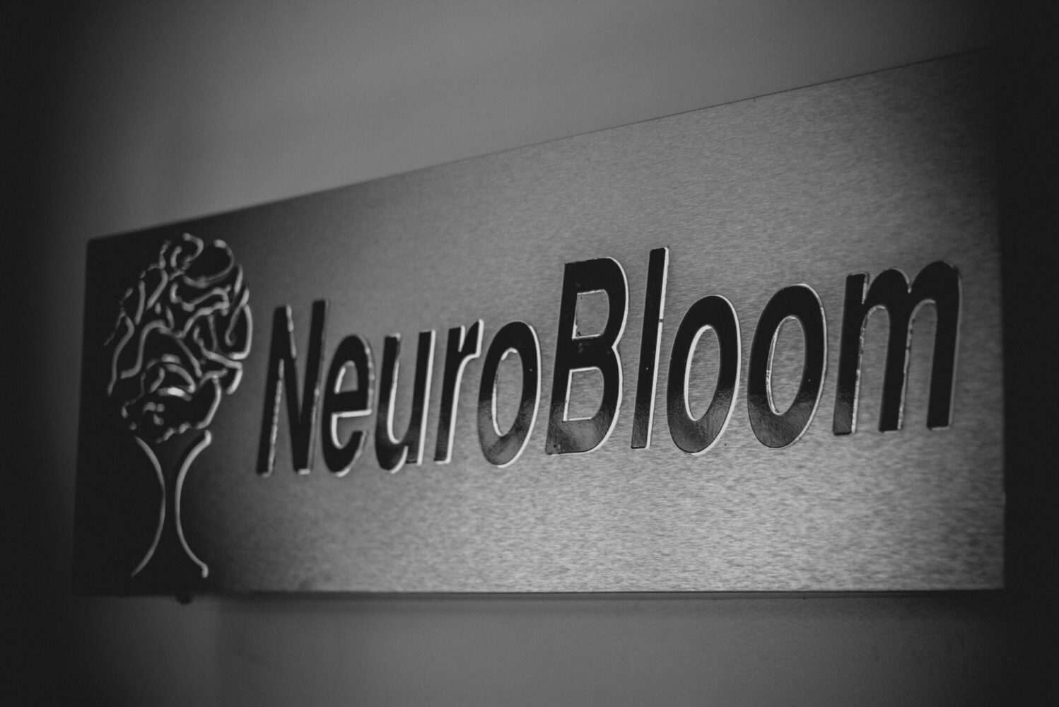 Index of [neurobloom.com.na]